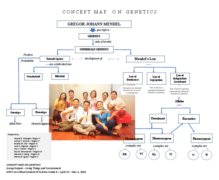 Concept Map O N Genetics: Gregor Johann Mendel | Download Free PDF ...