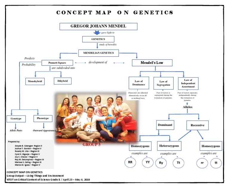 Concept Map On Genetics | PDF | Evolutionary Biology | Genetics