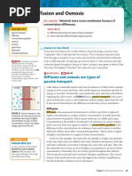 Amoeba Sisters Osmosis Recap Guide | PDF | Osmosis | Cell Biology