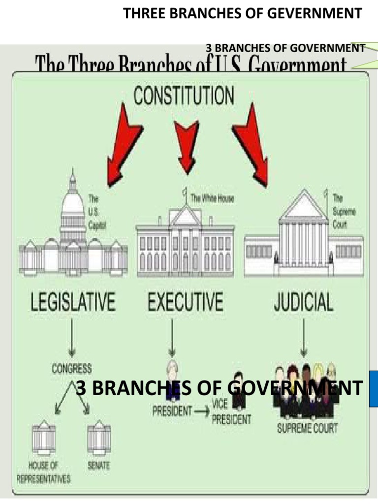 Branches of Government | PDF