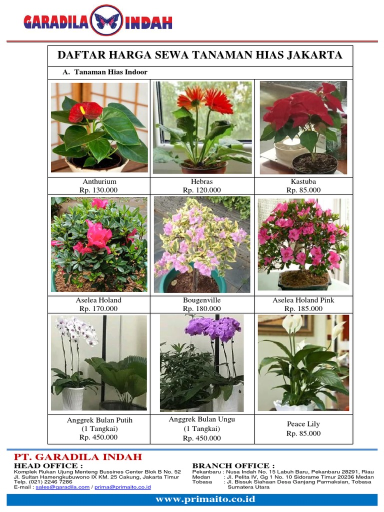 Daftar Harga Tanaman Hias Jakarta 2019 Pdf