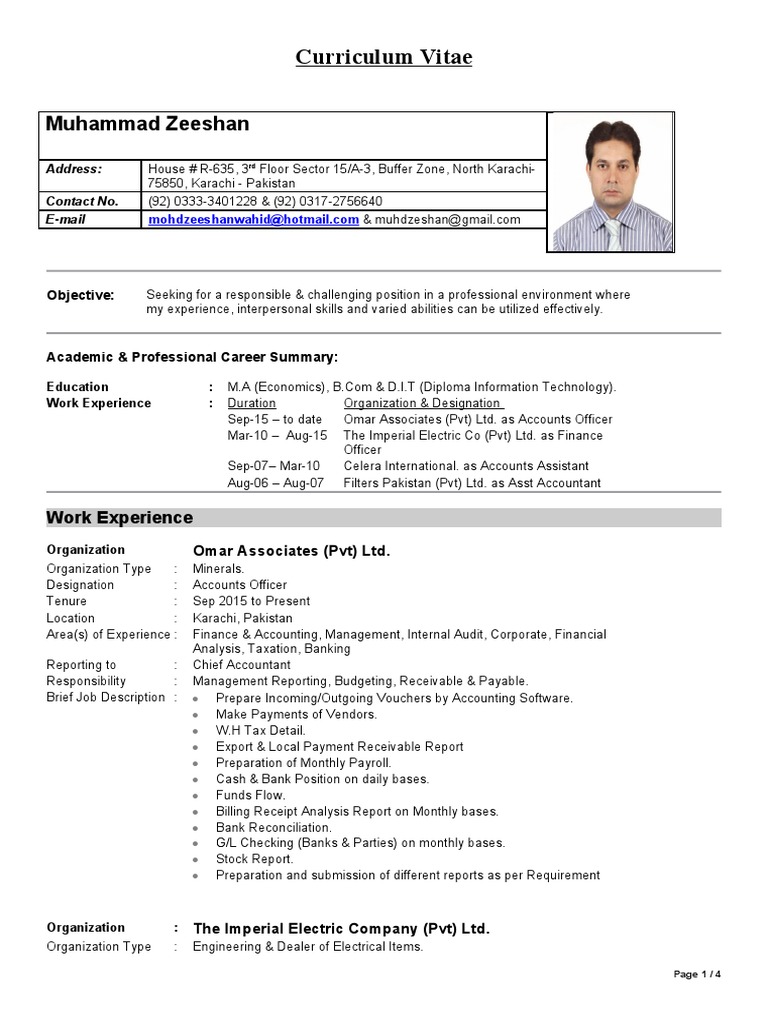 Curriculum Vitae: Muhammad Zeeshan | PDF | Debits And Credits | Banks
