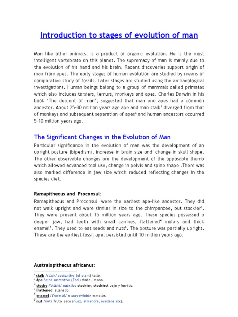 Stages of Evolution of Man | PDF | Human Evolution | Ape
