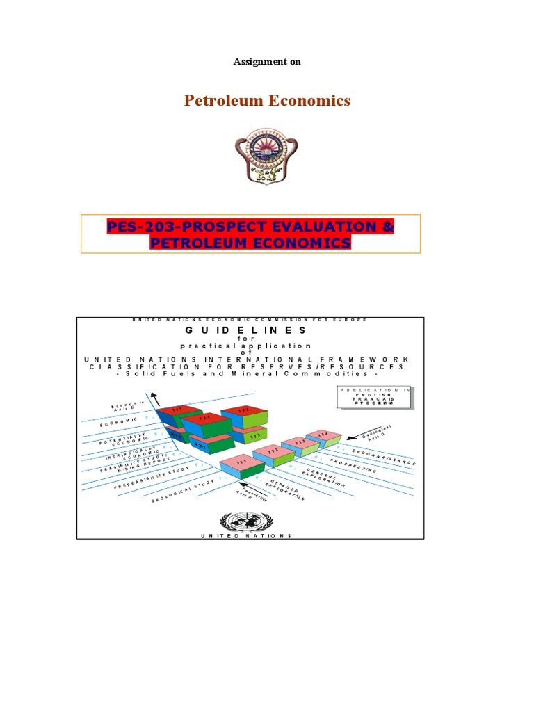 Petroleum Economics | PDF | Demand | Production Function