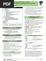 Fundus Diagram Drawing Guide | PDF | Retina | Human Eye