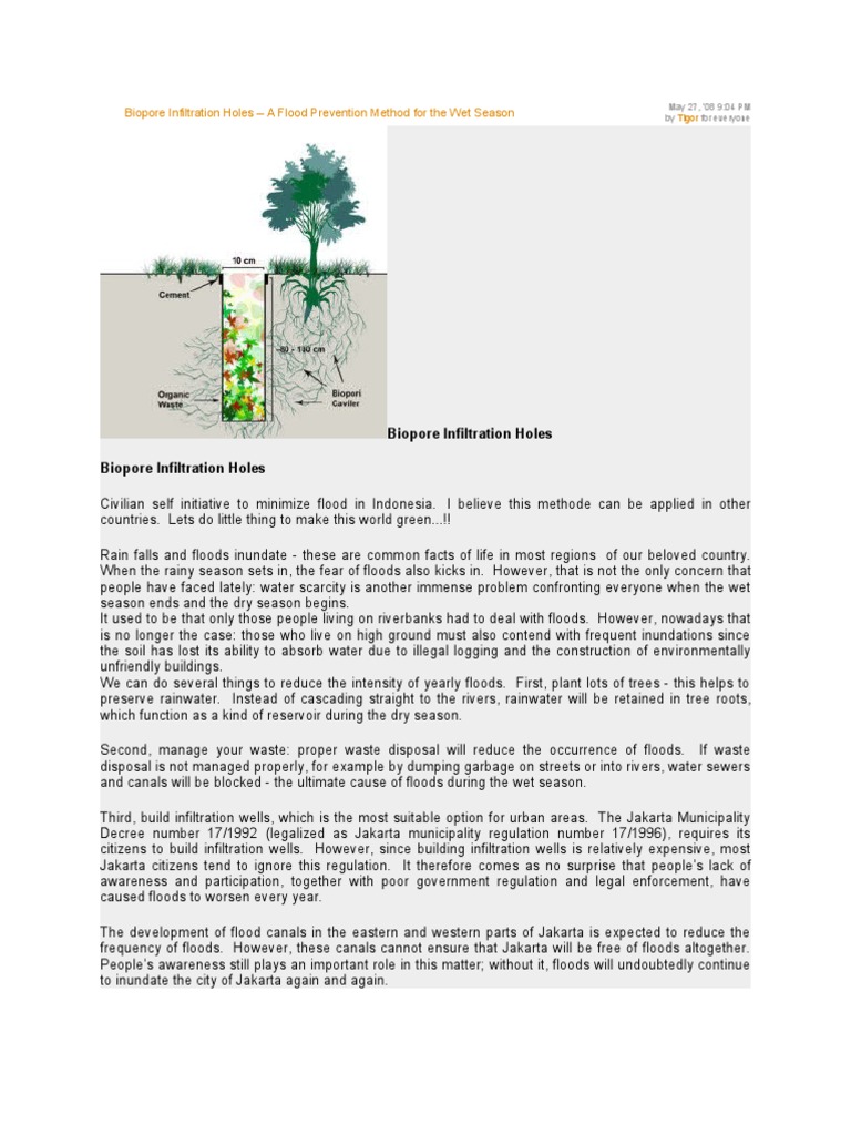 Biopore Infiltration Holes | PDF | Flood | Soil