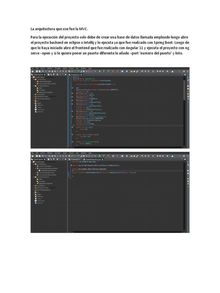 Instalacion - Proyecto Frontend Angular y Backend Spring Boot | PDF