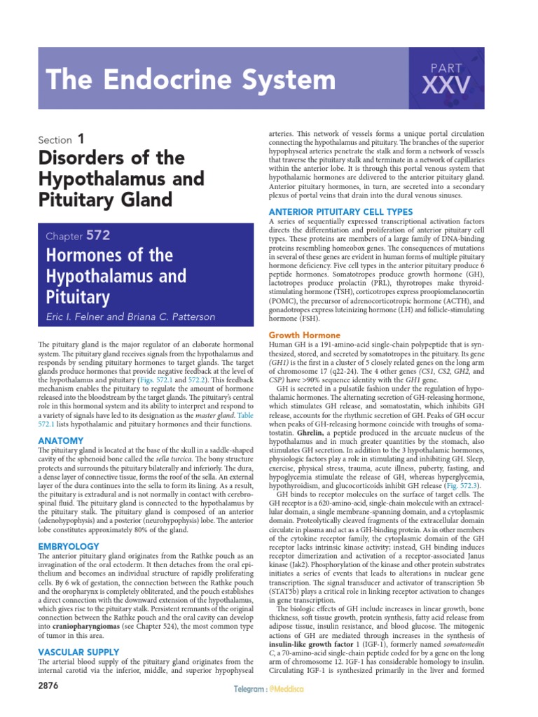 Pediatrics - Endocrine System | PDF | Hypothalamus | Luteinizing Hormone