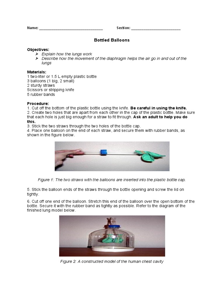 Extend - Bottled Balloons-1 | PDF | Breathing | Balloon