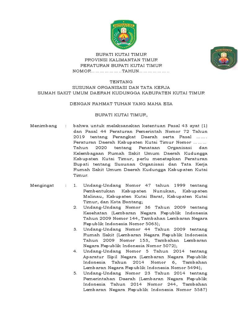 Draft Perbup SOTK - Yanmedkep | PDF