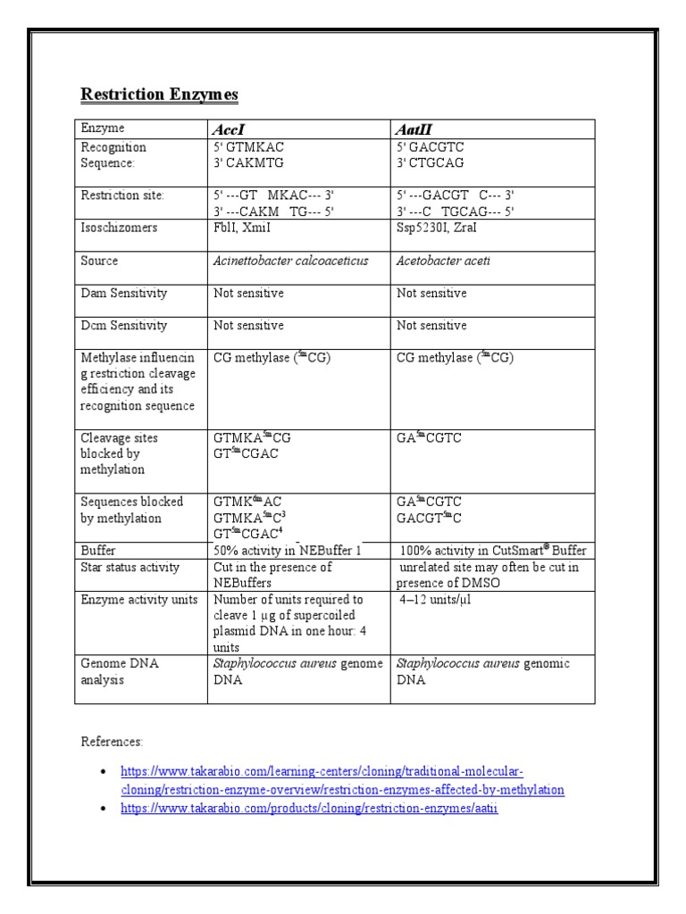 Restriction Enzymes: Acci Aatii | PDF | Technology & Engineering