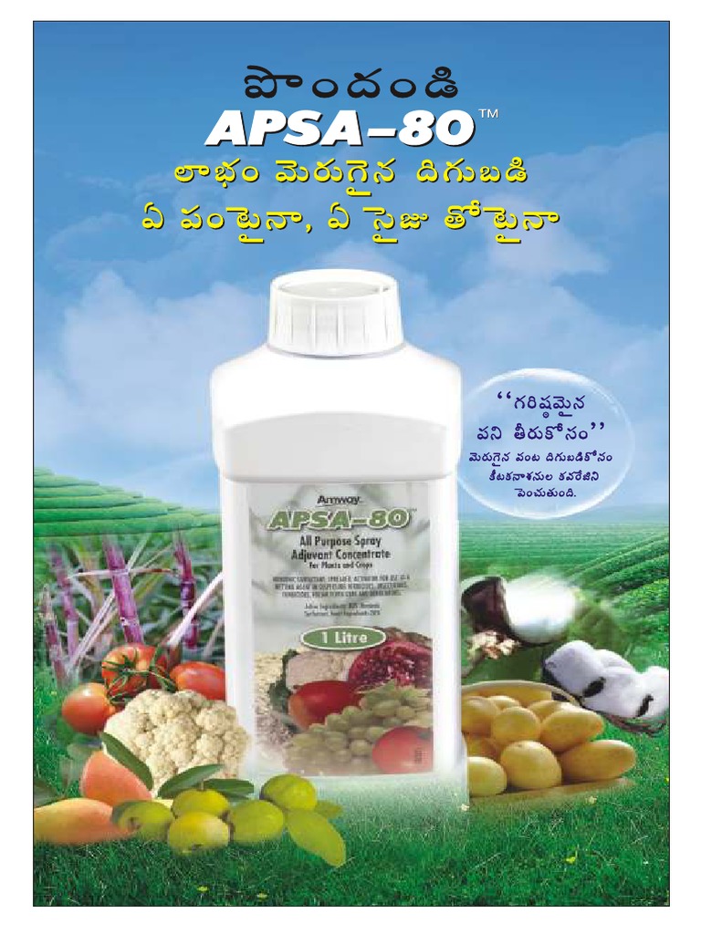 APSA-80 Telugu | PDF