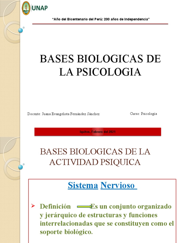 Bases Biologicas de Psicologia | PDF | Hemisferio cerebral | Cerebro