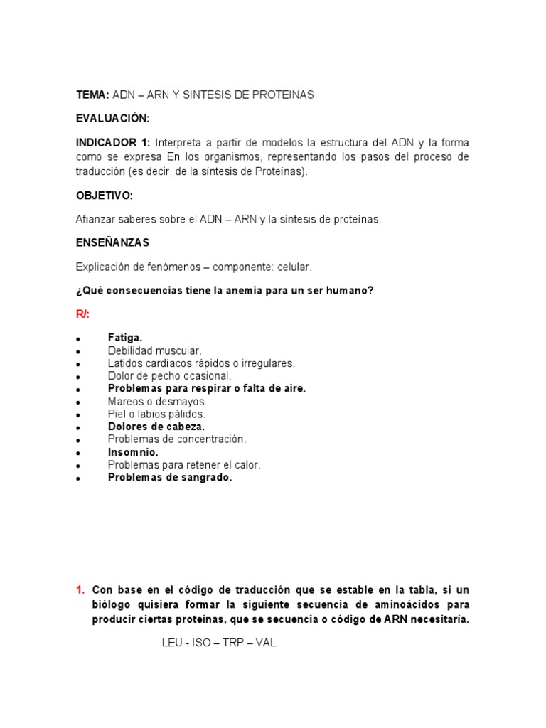 Adn y Arn | PDF | Adn | Rna