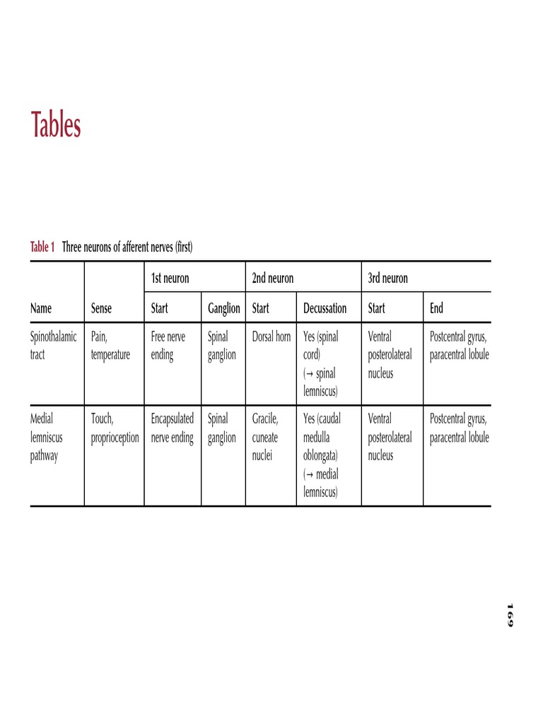 Tables: 1st Neuron 2nd Neuron 3rd Neuron Name Sense Start Ganglion ...