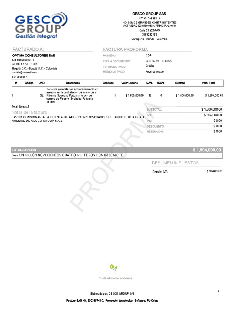 Proforma | Descargar gratis PDF | Dinero | Economias