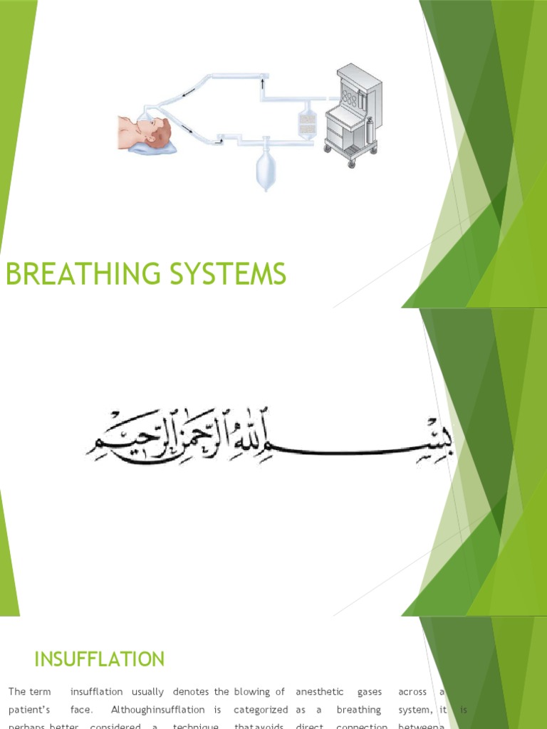 Bab 3 - Breathing System | PDF | Breathing | Anesthesia