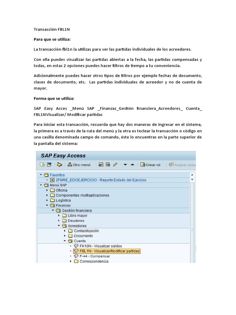 Uso de la Transacción FBL1N en SAP | PDF | Informática | Software