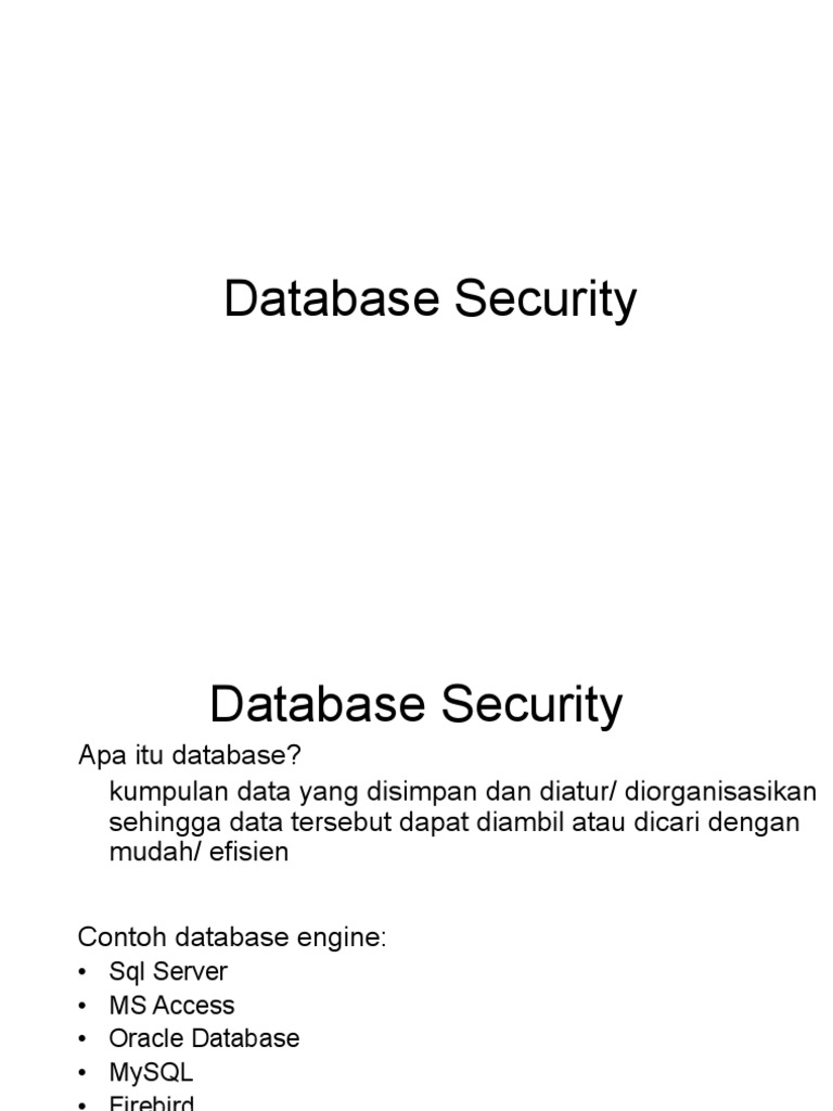 03 Database Security | PDF