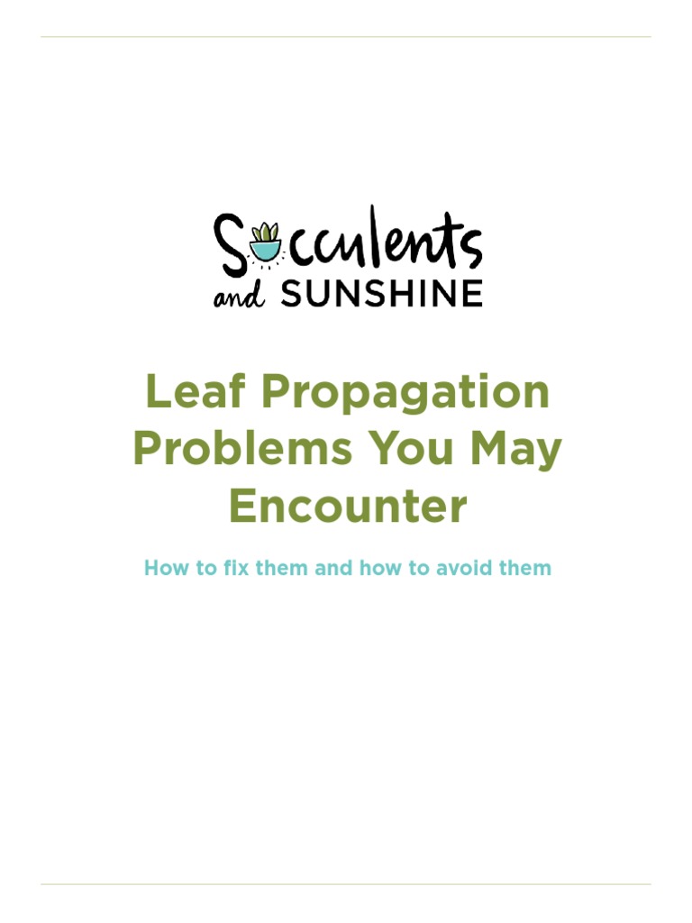 Troubleshooting Leaf Propagation Issues | PDF | Succulent Plant | Leaf