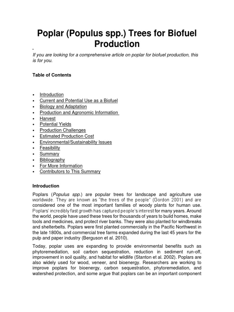 Poplar Populus SPP Trees For Biofuel Production | PDF | Biofuel | Biomass