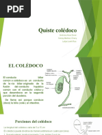 Tecnica Quirurgica Colesistectomia Abierta. | PDF | Especialidades ...