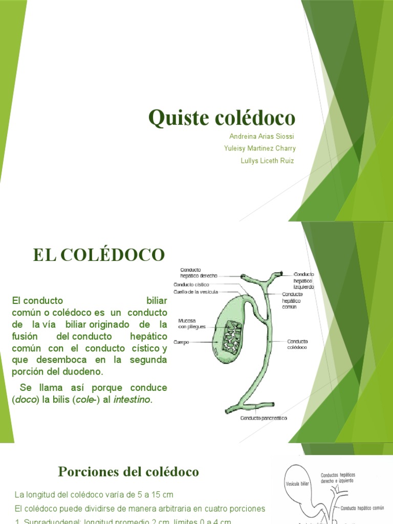 Quiste Coledoco | PDF | Páncreas | Hígado
