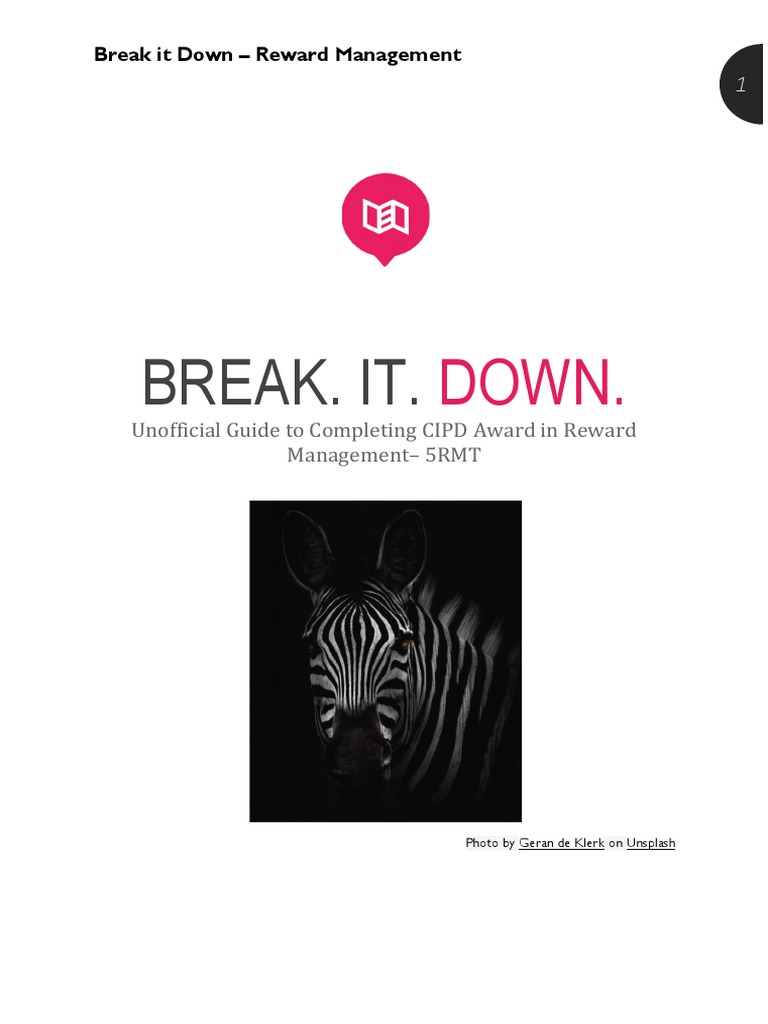 Understanding Total Rewards and Reward Principles | PDF | Motivation ...