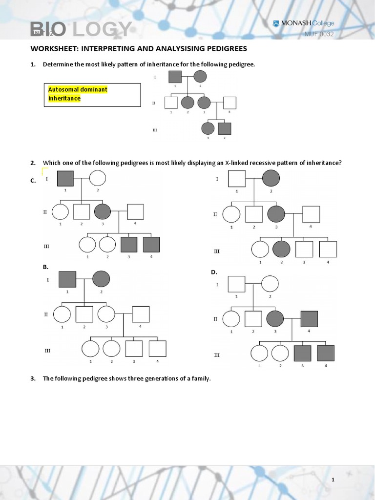 Pedigree Analysis Practice Worksheet | PDF | Genotype | Zygosity