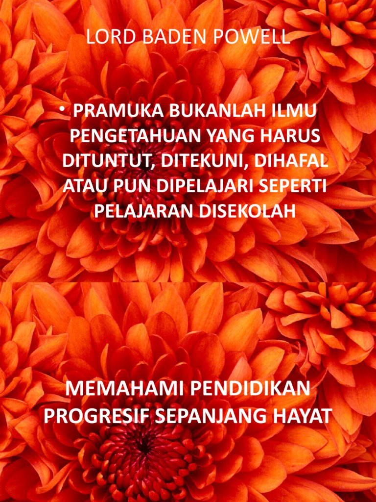 Memahami Pendidikan Progresif Sepanjang Hayat | PDF | Pengembangan Diri