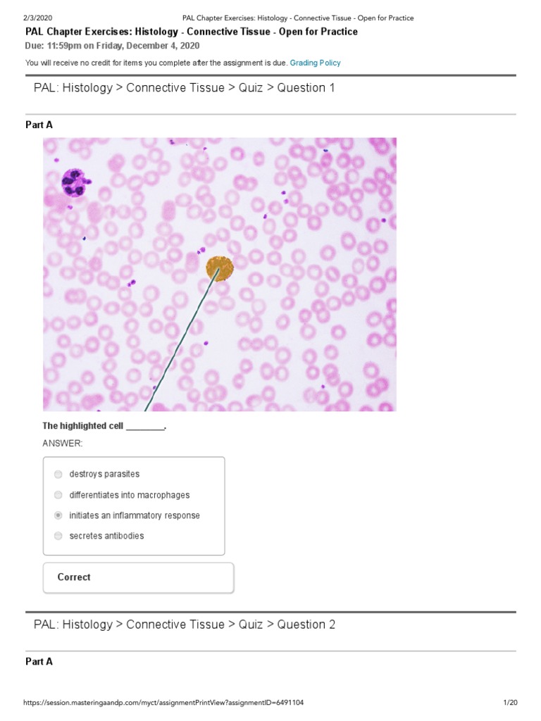 PAL: Histology Connective Tissue Quiz Question 1 | PDF | Connective ...