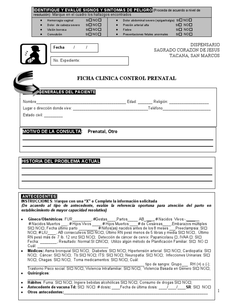 Ficha de Control Prental | PDF | El embarazo | Parto
