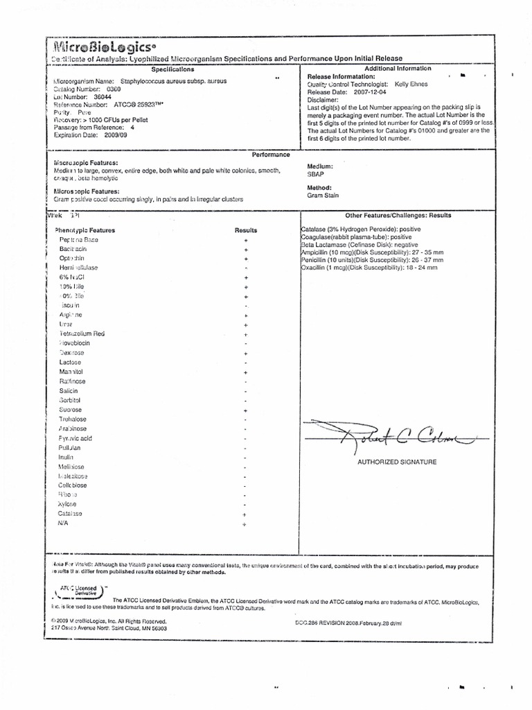 Staphylococcus Aureus ATCC 25923 | PDF | Bacteria | Staphylococcus