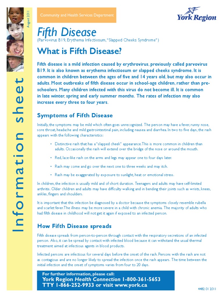 What Is Fifth Disease? | PDF | Infection | Clinical Medicine