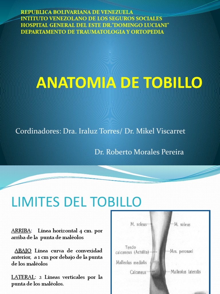 Anatomia de Tobillo | PDF | Tobillo | Extremidades (anatomía)