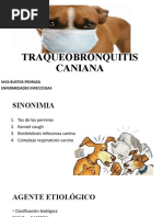 PIOTÓRAX | PDF | Medicina | Inmunología