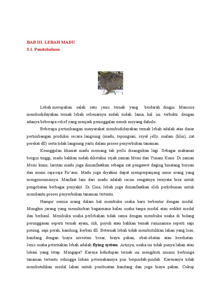 Pertemuan 4 Lebah Madu | PDF