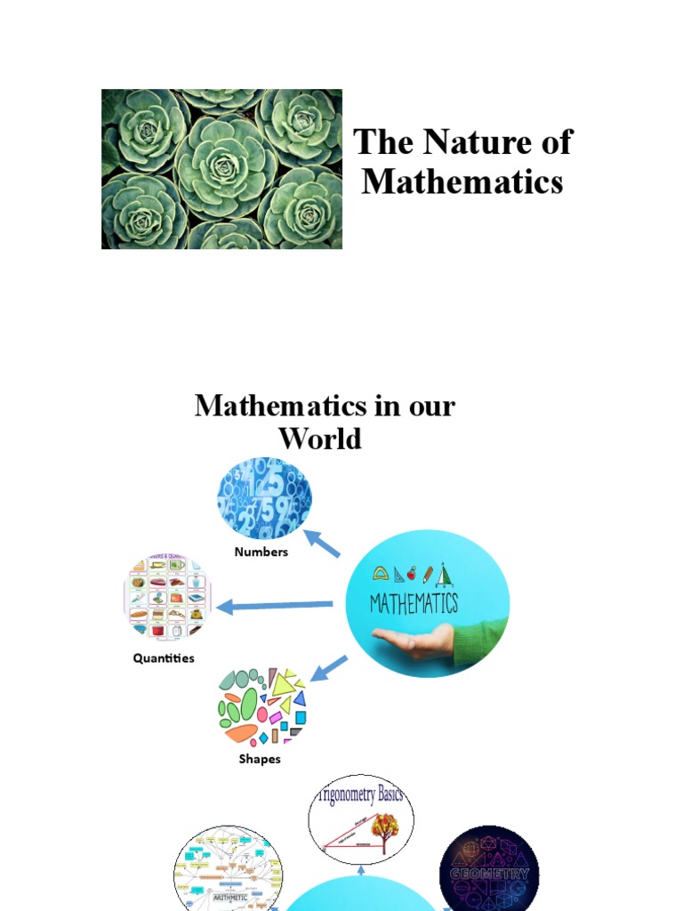 The Nature of Mathematics | PDF | Pattern | Teaching Mathematics