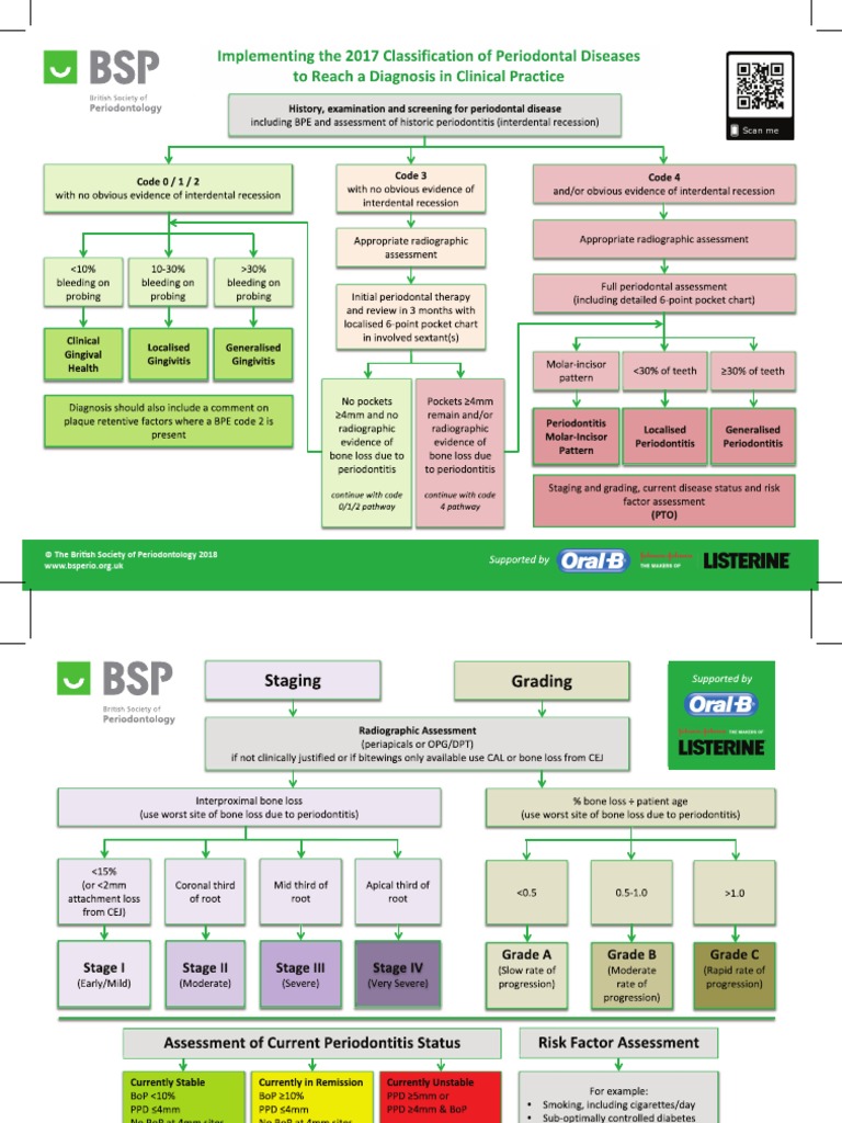 BSP Flowchart | PDF