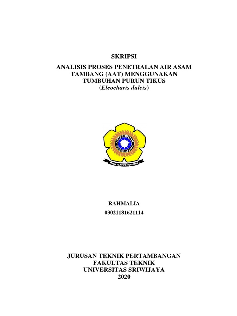Skripsi Analisis Proses Penetralan Air Asam Tambang (Aat) Menggunakan ...