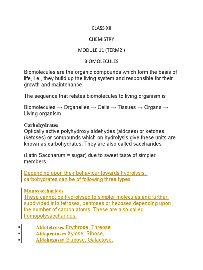 Class Xii Bio Molecules | PDF | Nucleotides | Carbohydrates