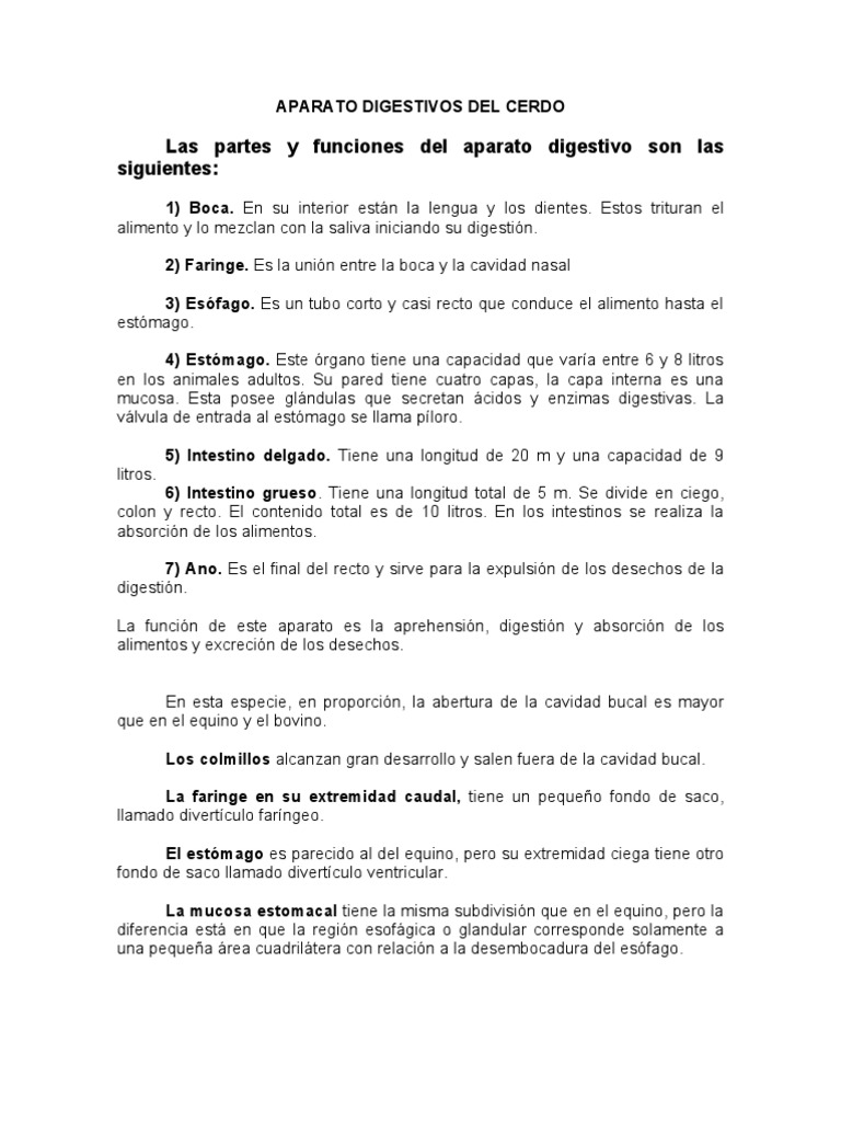 Faringe e intestino grueso del cerdo | PDF | Digestión | Estómago