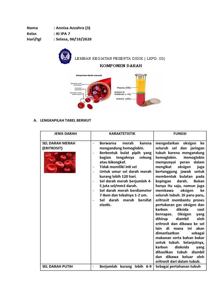 LKPD 05, Komponen Darah | PDF
