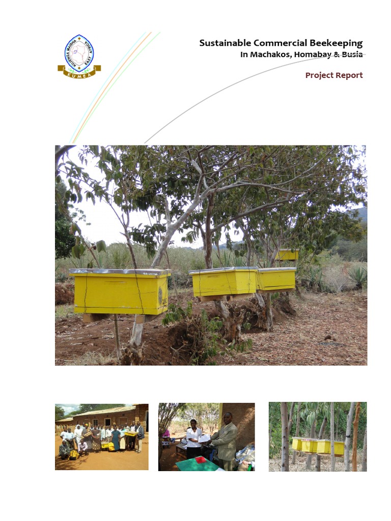 Sustainable Commercial Beekeeping Report | PDF | Beehive | Beekeeping