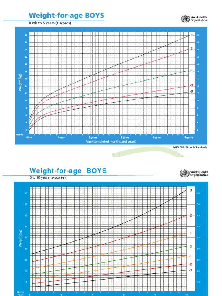 Growth Chart Boy | PDF | Metrology | Physical Quantities