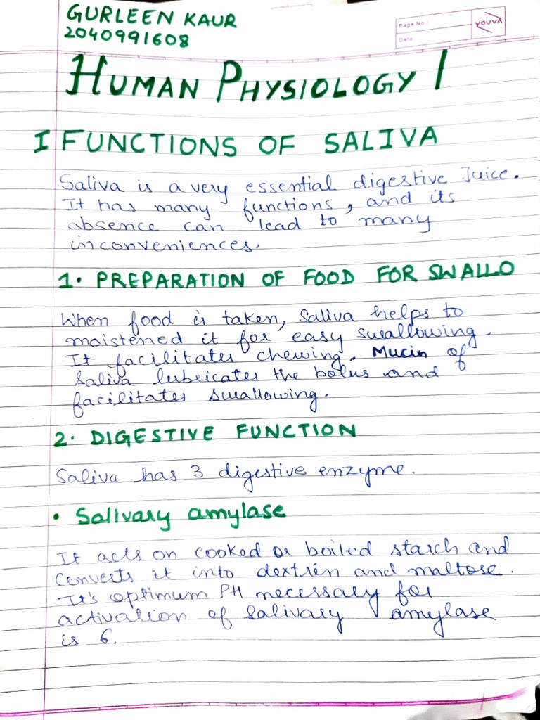 Gurleen Kaur (BPT) Assignment | PDF | Organ (Anatomy) | Saliva Gurleen Kaur (BPT) Assignment | PDF | Organ (Anatomy) | Saliva