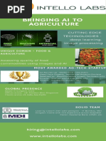 Mozo Hunt Internship | PDF | Marketing | Social Media