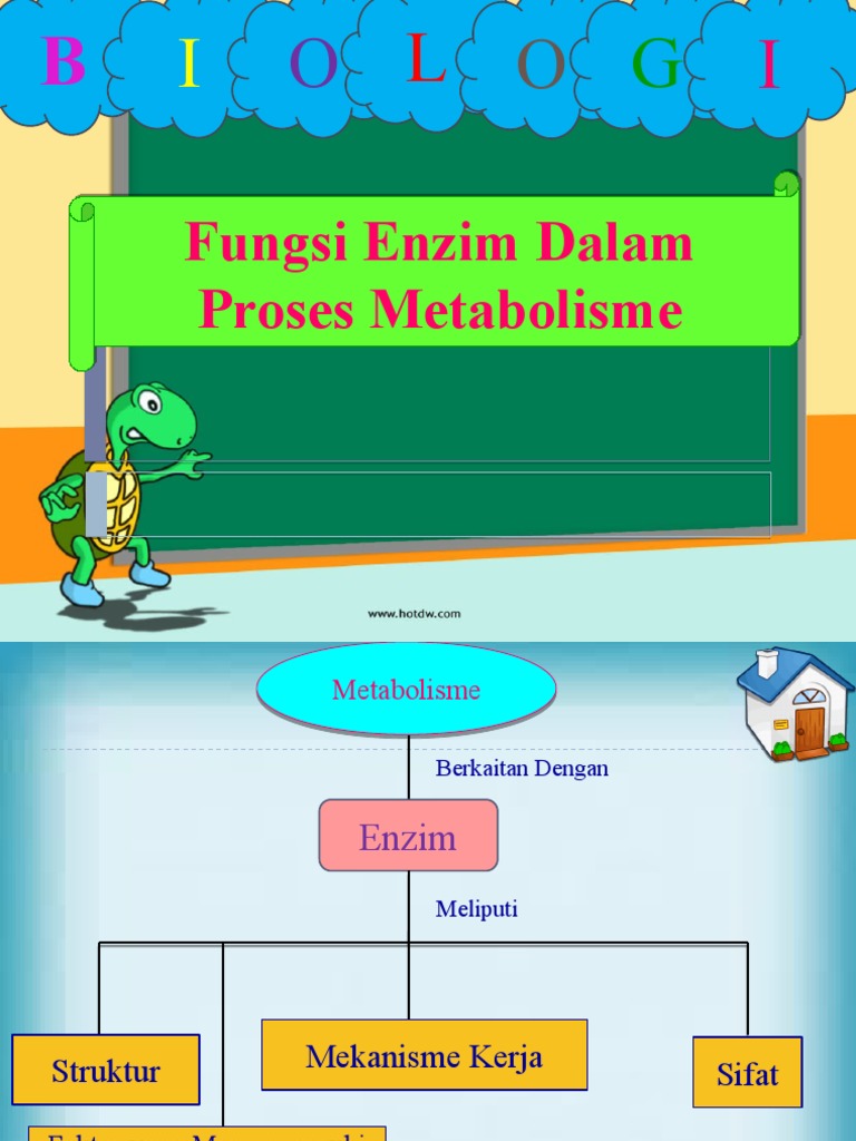 Fungsi dan Struktur Enzim Metabolisme | PDF