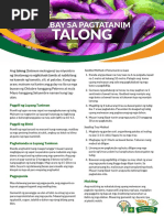 Sistemang Palaycheck para Sa Palayang May Patubig PDF | PDF