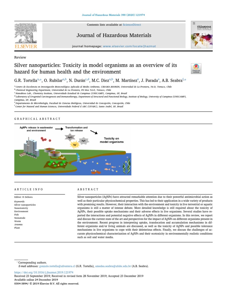 Silver Nanoparticles Toxicity in Model Organisms As An Overview of Its ...